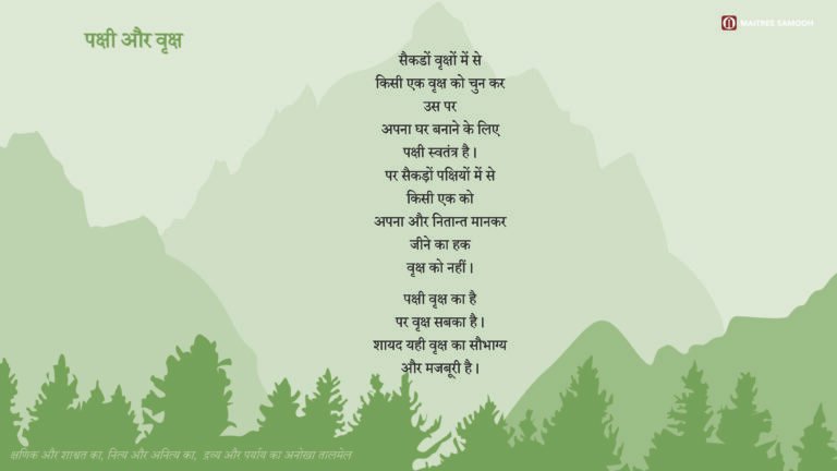 पक्षी और वृक्ष - Maitree Samooh